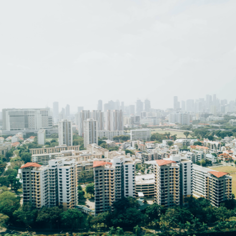 West India (WISTI) - The Textile Institute